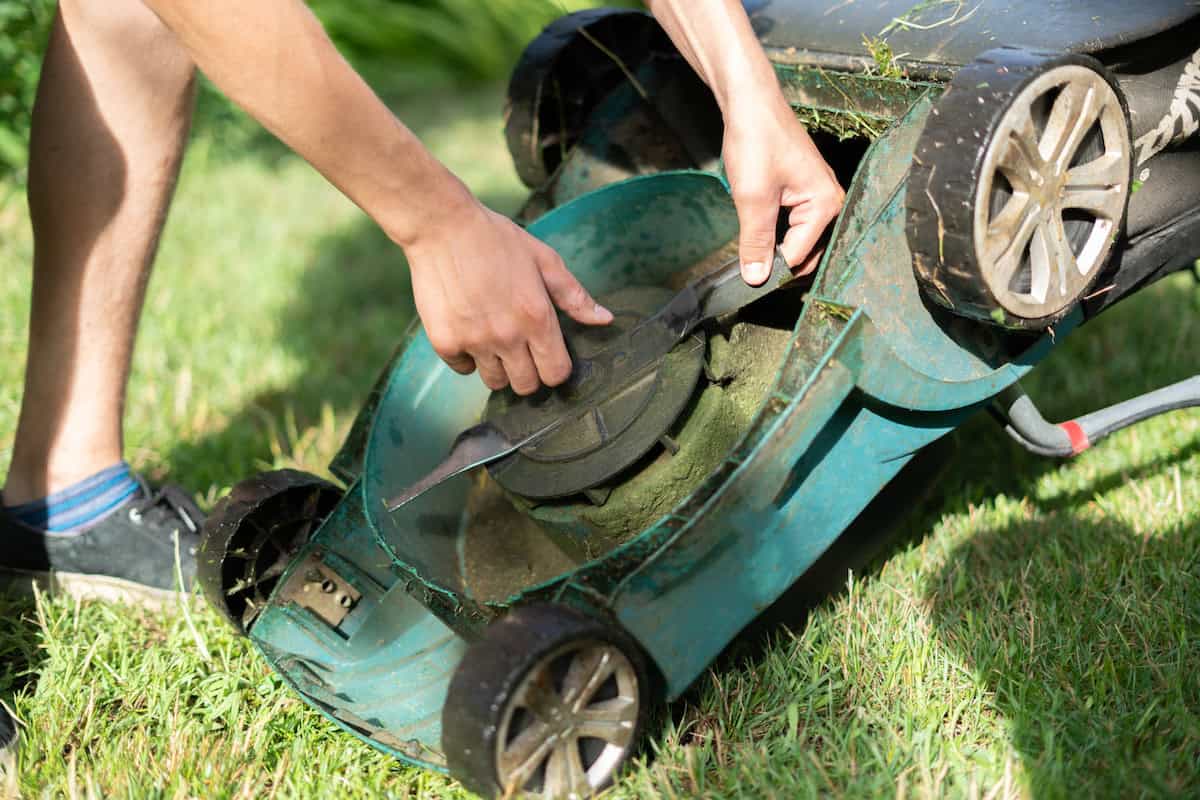 Get Your Yard Spring-Ready: Essential Tools and Repairs You Can’t Miss ...